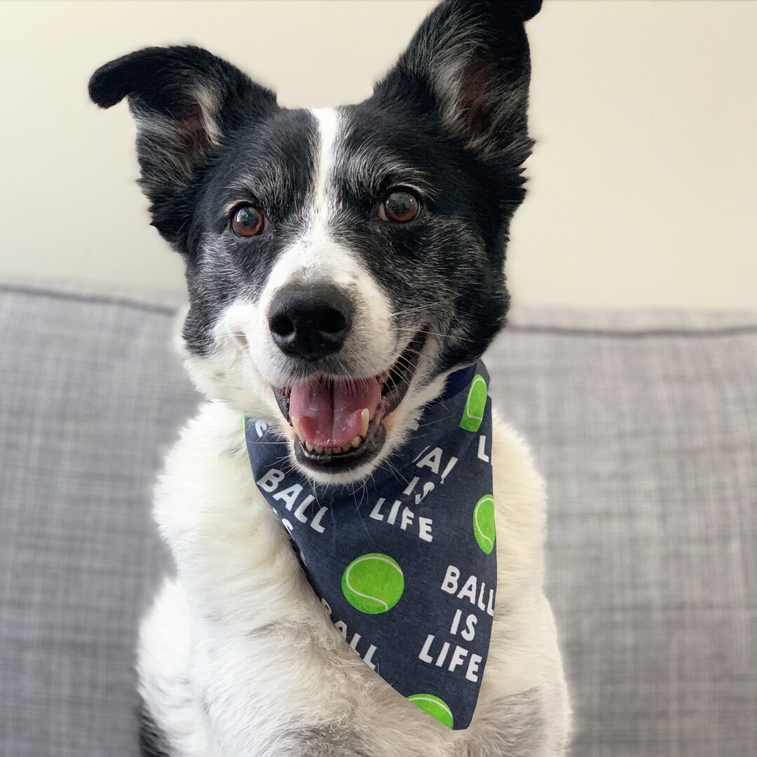 Ball is Life Dog Bandana / Dog Bandanas - Etsy