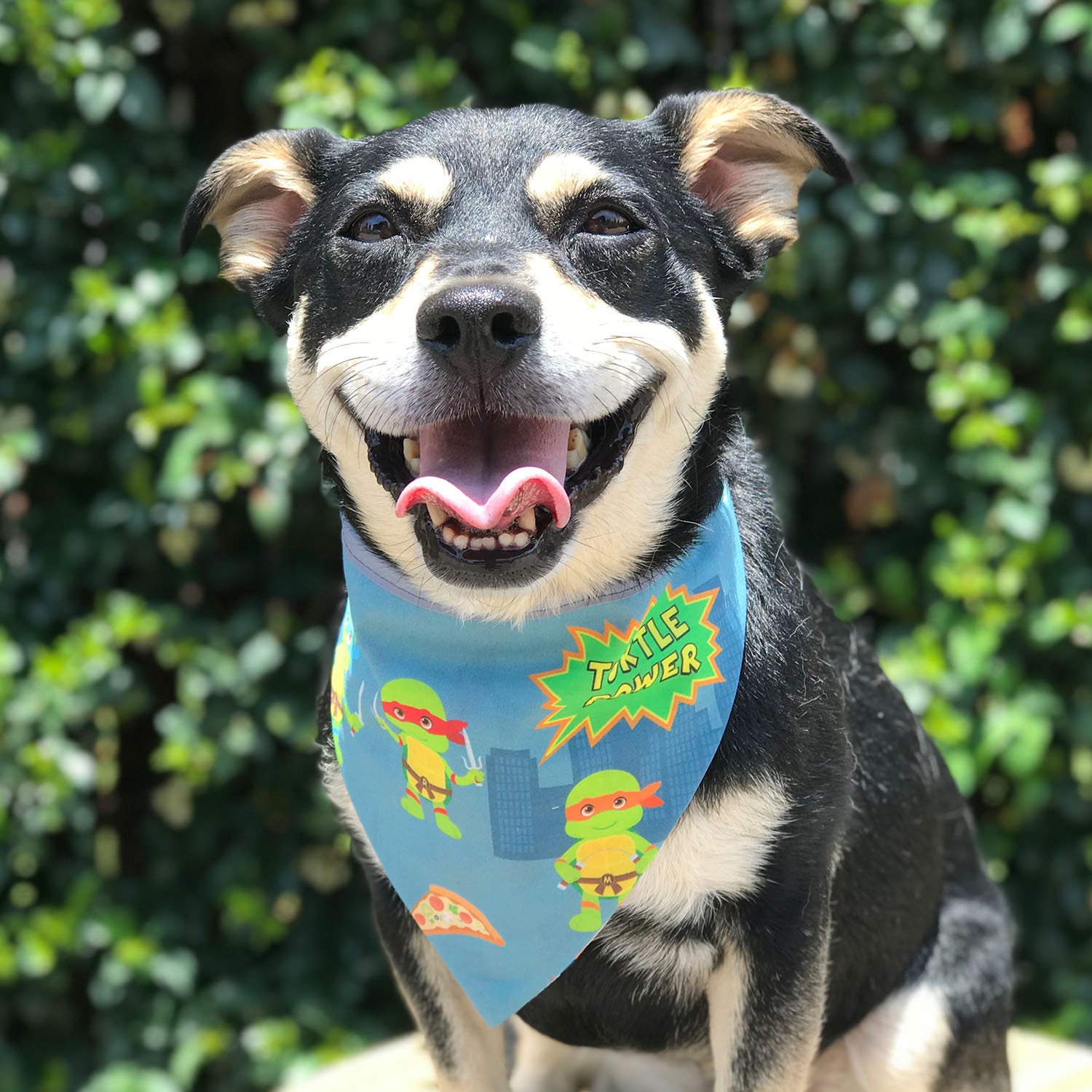 Tmnt Dog Pound Costume