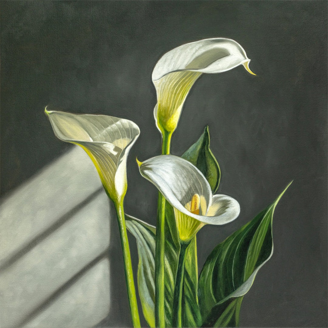 Calla Lilies Floral Flower Oil Painting Signed Fine Art Print Direct ...