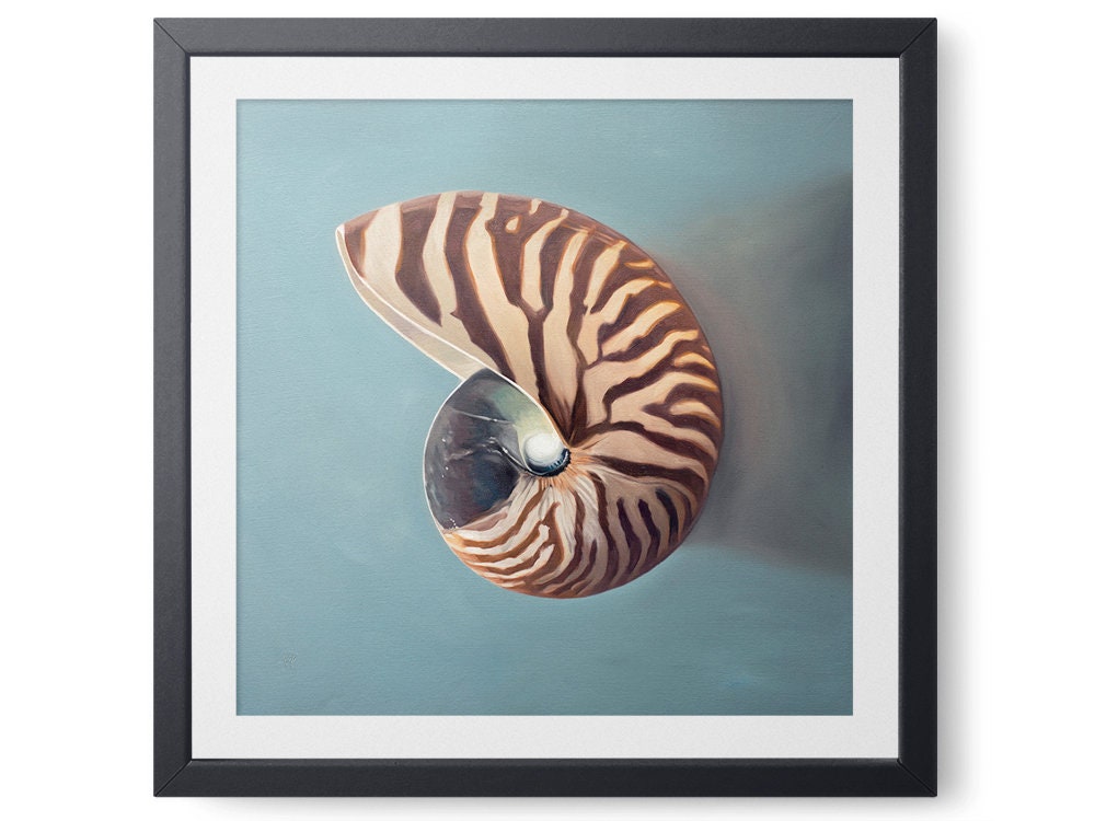 Nautilus Shell Beach Tropical Nautical Fine Art Oil Painting | Etsy