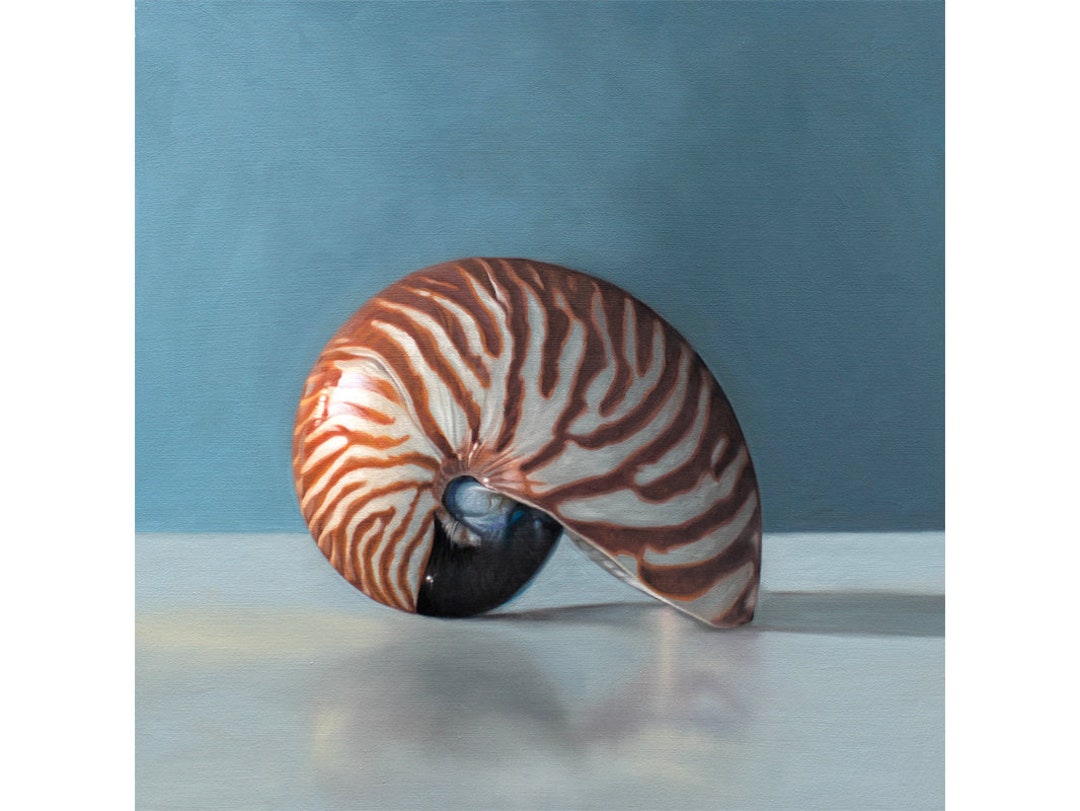 Nautilus Shell Nautical Ocean Oil Painting Fine Art Print - Etsy