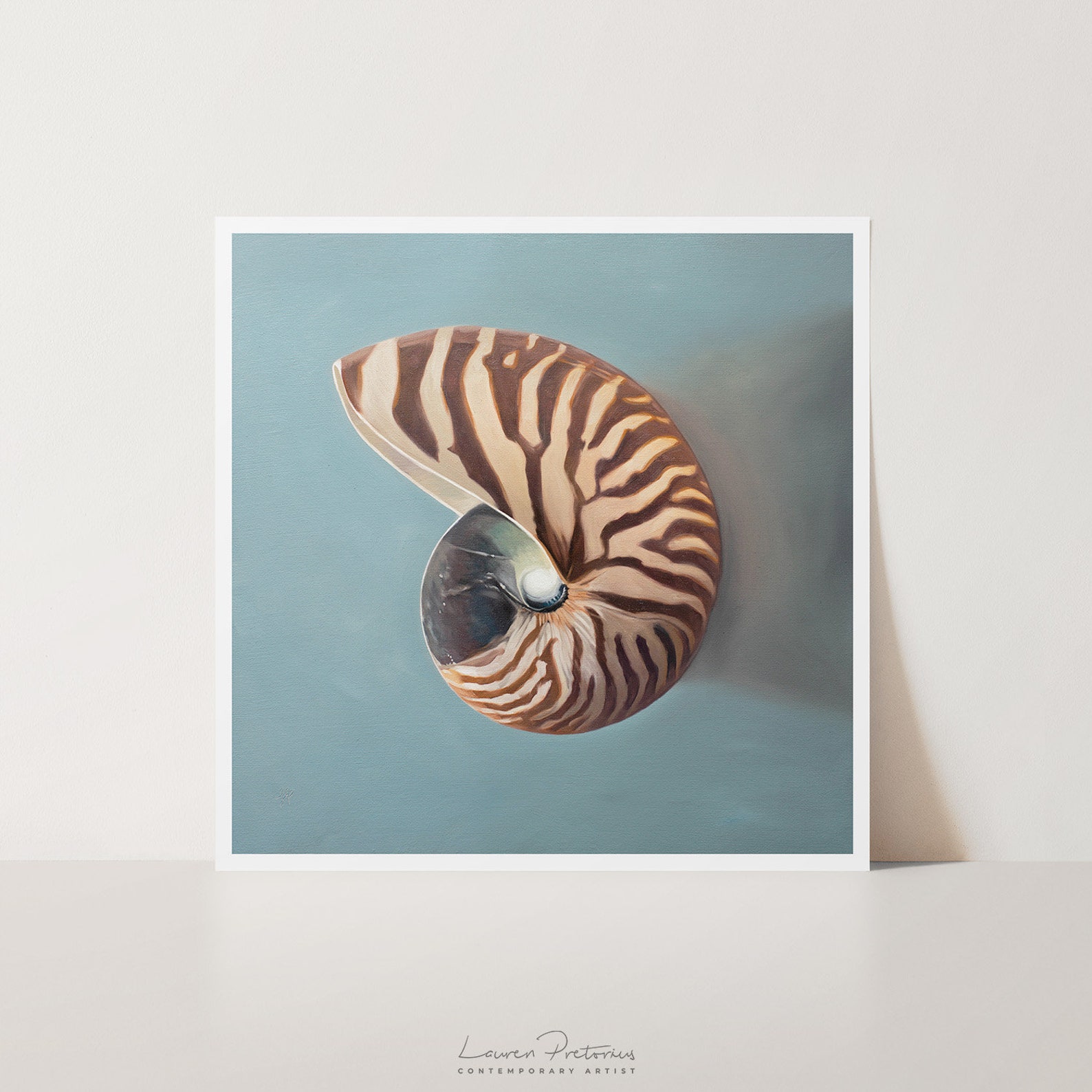 Nautilus Shell Beach Tropical Nautical Oil Painting Fine Art | Etsy