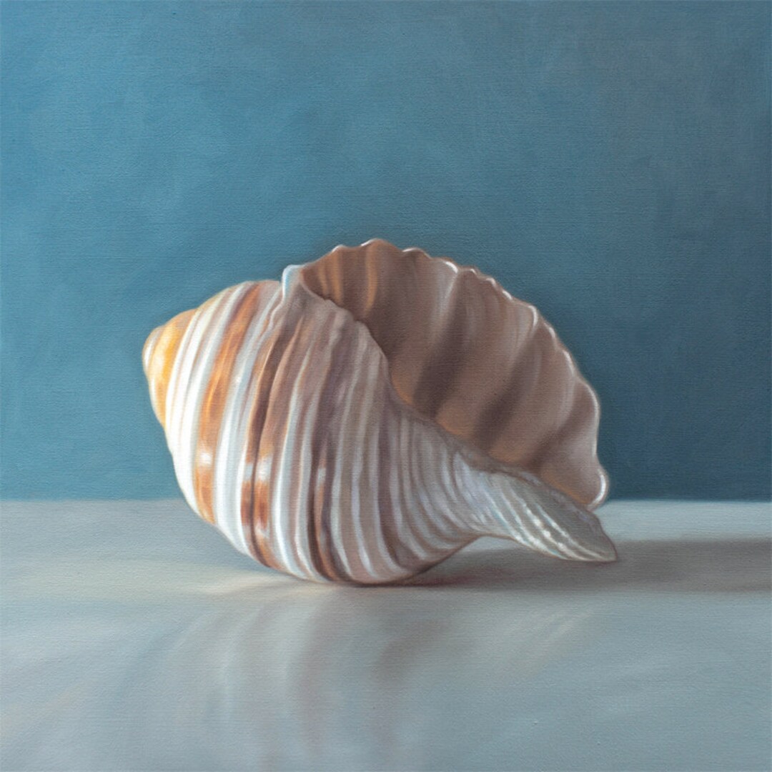 Single Seashell | Nautical Ocean Oil Painting Fine Art Print | Direct ...