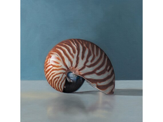 Nautilus Shell Nautical Ocean Oil Painting Fine Art Print | Etsy