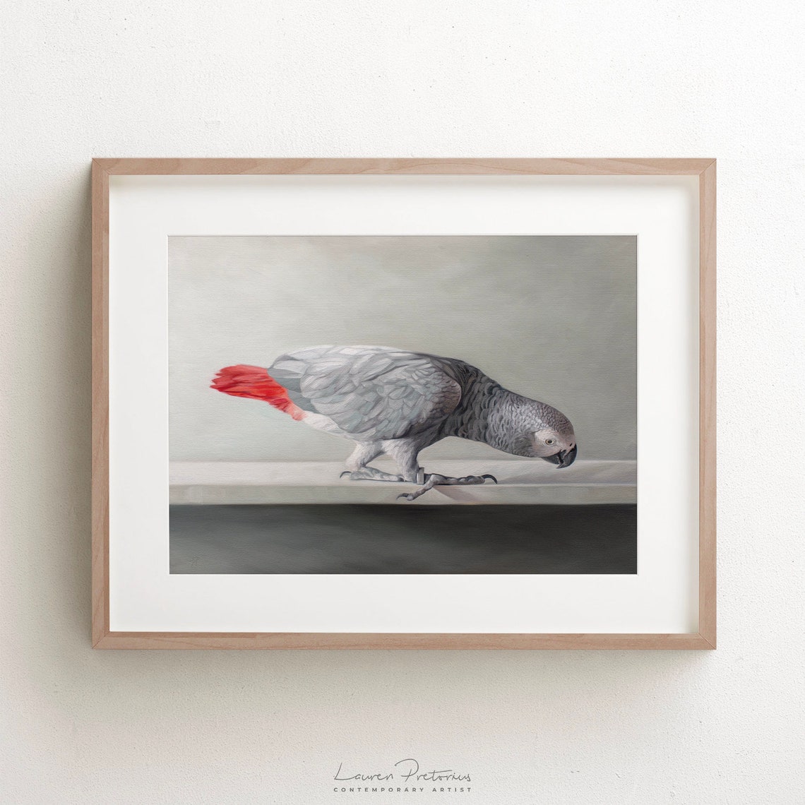 Curious African Grey Parrot Bird Oil Painting Fine Art Print - Etsy