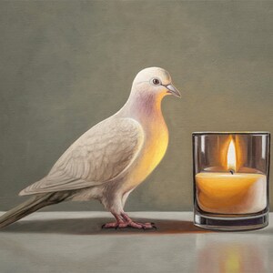 Dove & Candle | Bird Oil Painting Signed Fine Art Print | Direct From ...