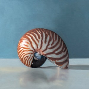 Nautilus Shell | Nautical Ocean Oil Painting Fine Art Print | Direct ...