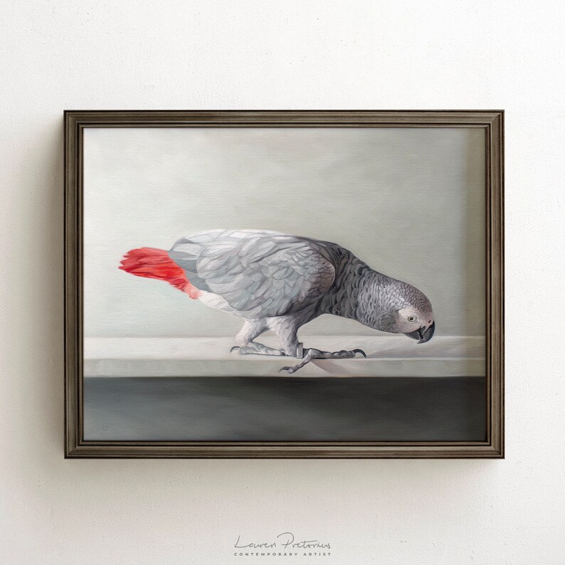 Curious African Grey Parrot Bird Oil Painting Fine Art Print | Etsy