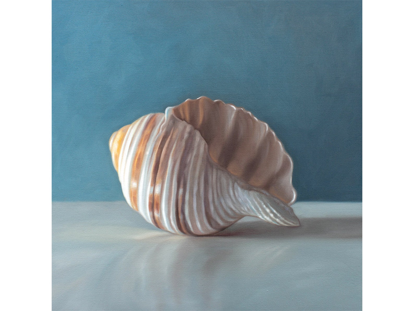 Single Seashell Nautical Ocean Oil Painting Fine Art Print - Etsy