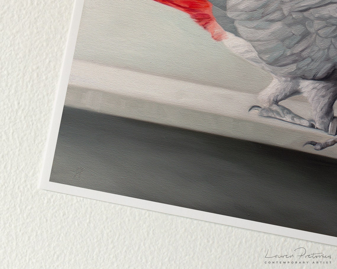Curious African Grey Parrot Bird Oil Painting Fine Art Print - Etsy