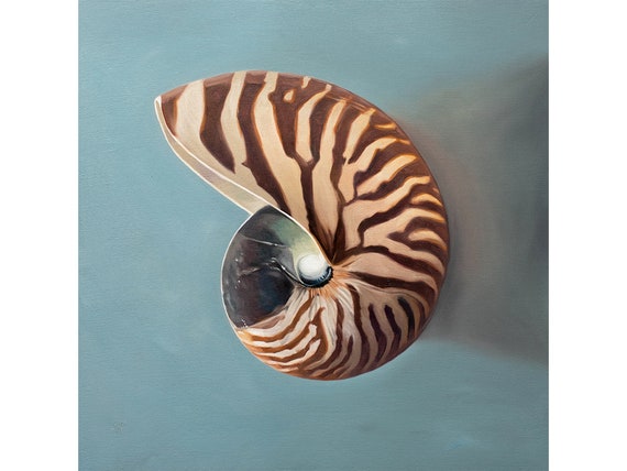 Nautilus Shell Beach Tropical Nautical Oil Painting Fine Art | Etsy