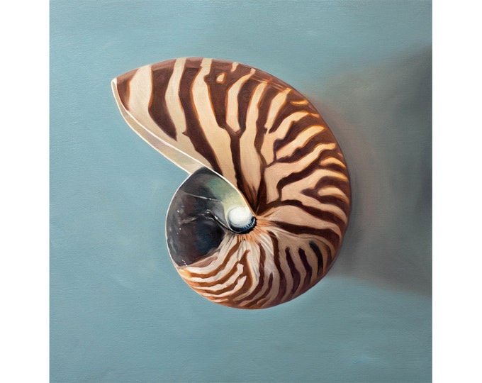 Nautilus Shell Beach Tropical Nautical Oil Painting Fine Art - Etsy