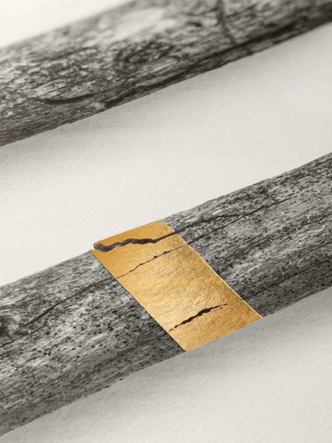 Sticks in Gold Foil. Limited Edition - Etsy