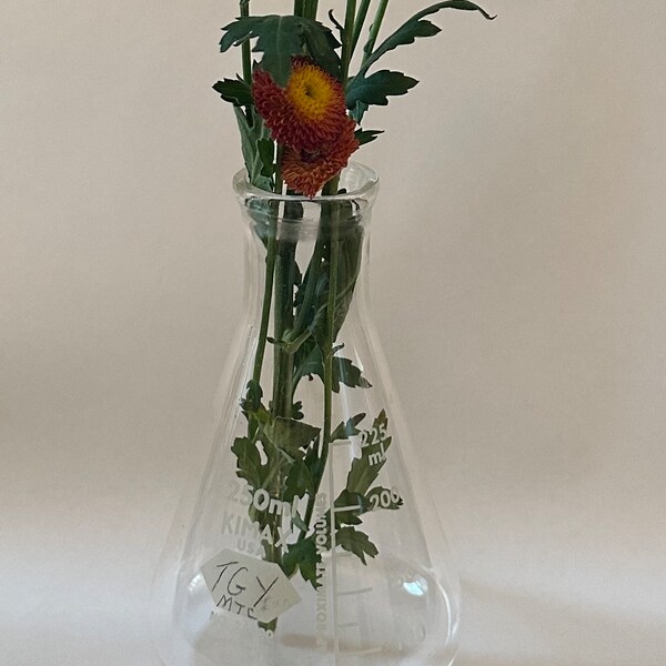 Beaker Vase - Etsy