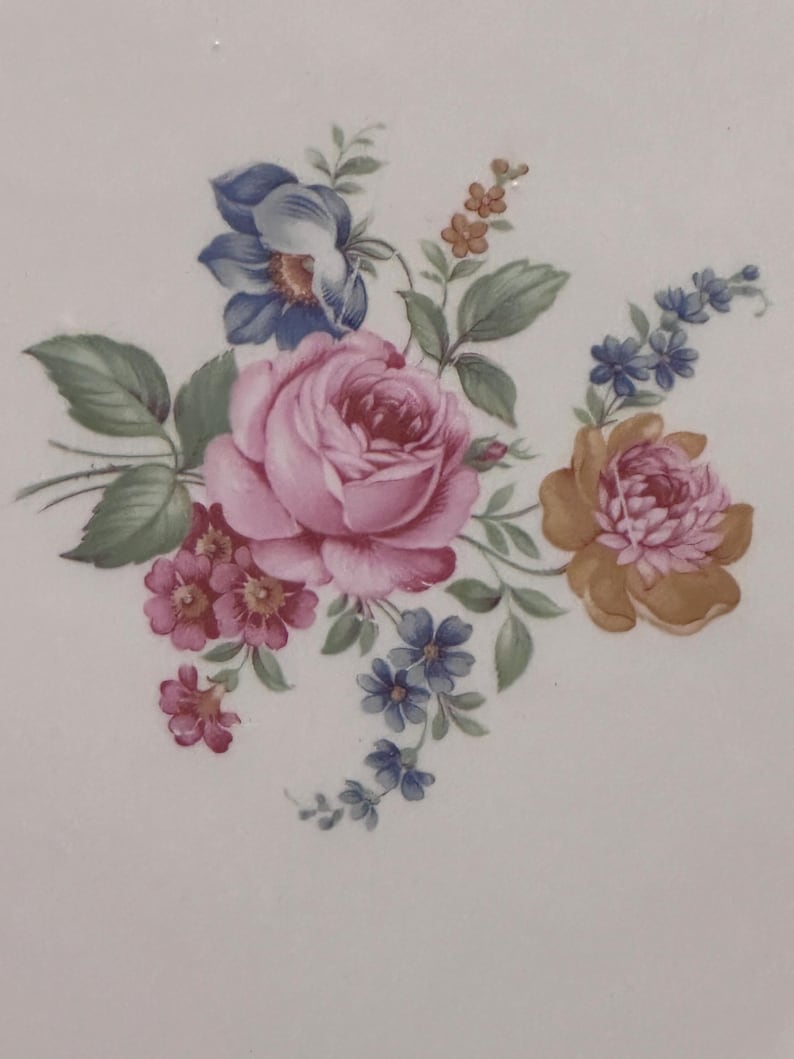 Fine China Oval Platter Plate With Pink, Blue, Tan Flowers and Greenery ...