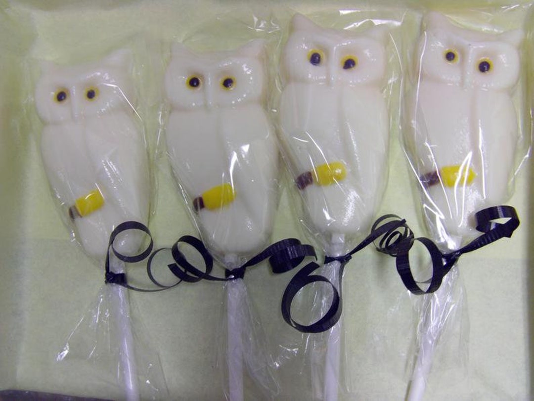 Owl Lollipops (12) FREE SHIPPING - Etsy