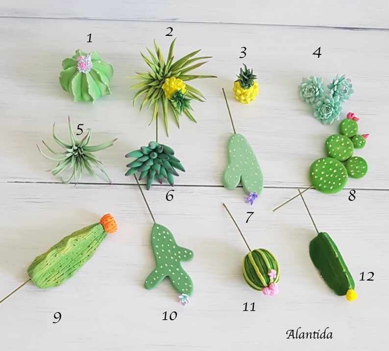 Cactus Cake Topper Succulent Cake Topper Cake Toppers Flower - Etsy