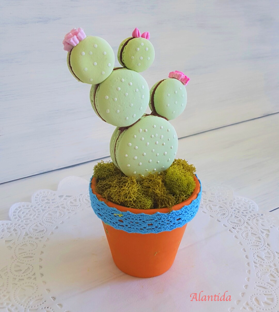 Macaroon Decoration Cactus Arrangement Fake Macaroon Faux Macaroon Fake ...
