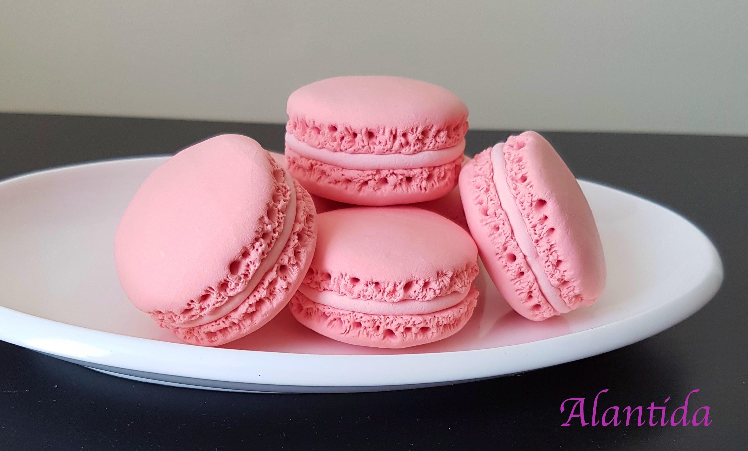 Faux Macaron Six Flavors Fake Macaron Blush Pink Macaroon | Etsy