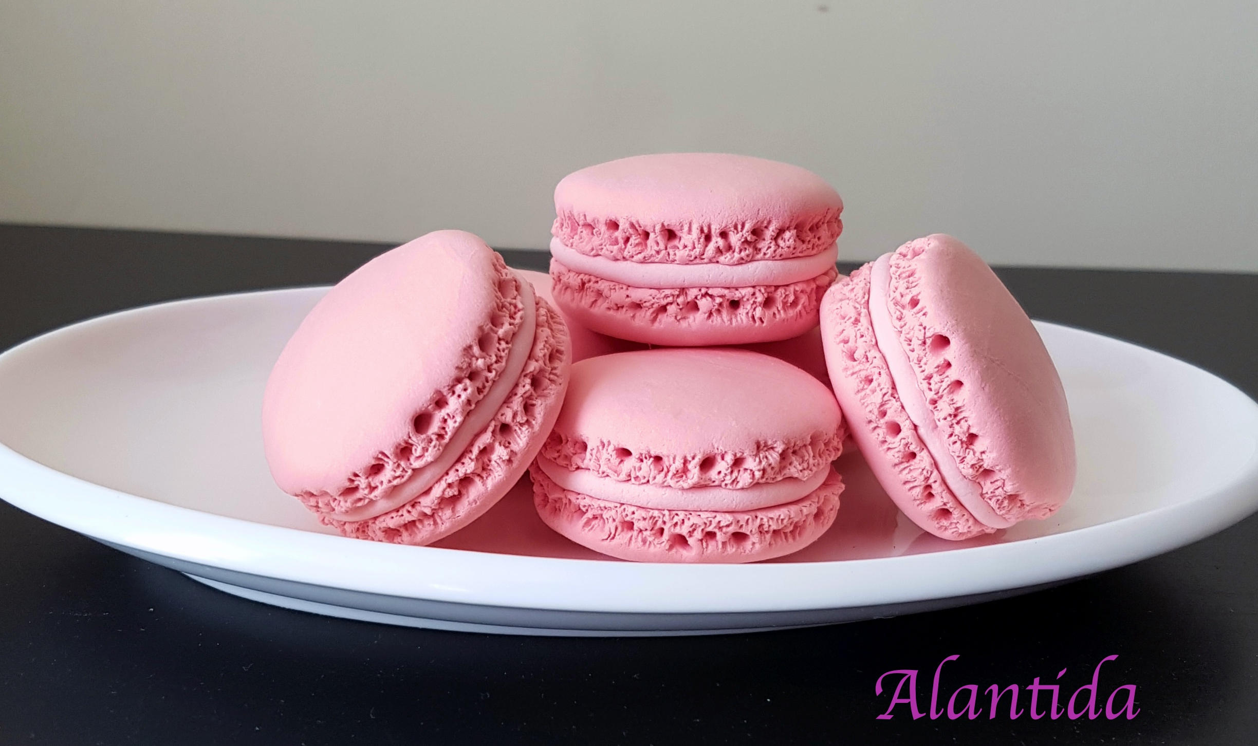 Faux Macaron Six Flavors Fake Macaron Blush Pink Macaroon | Etsy