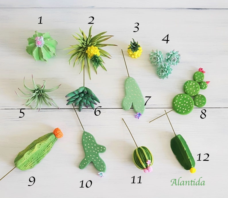 Cactus Cake Topper Succulent Cake Topper Cake Toppers Flower - Etsy