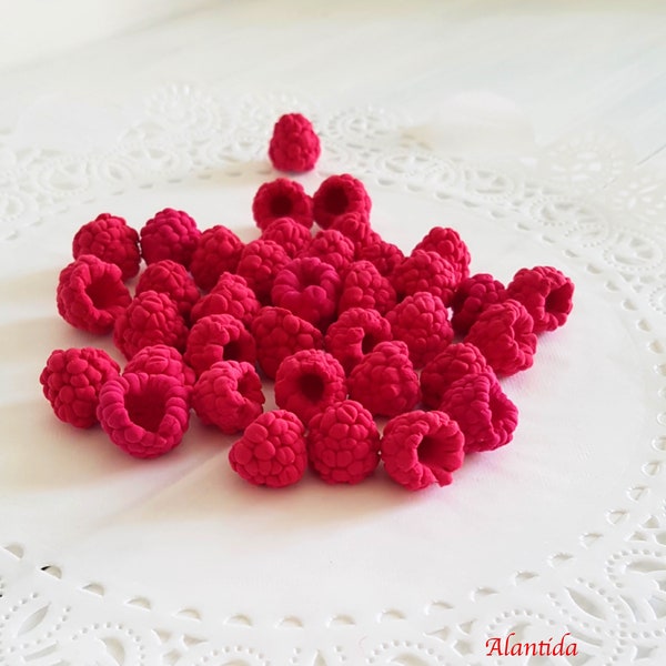 Raspberry Decor - Etsy