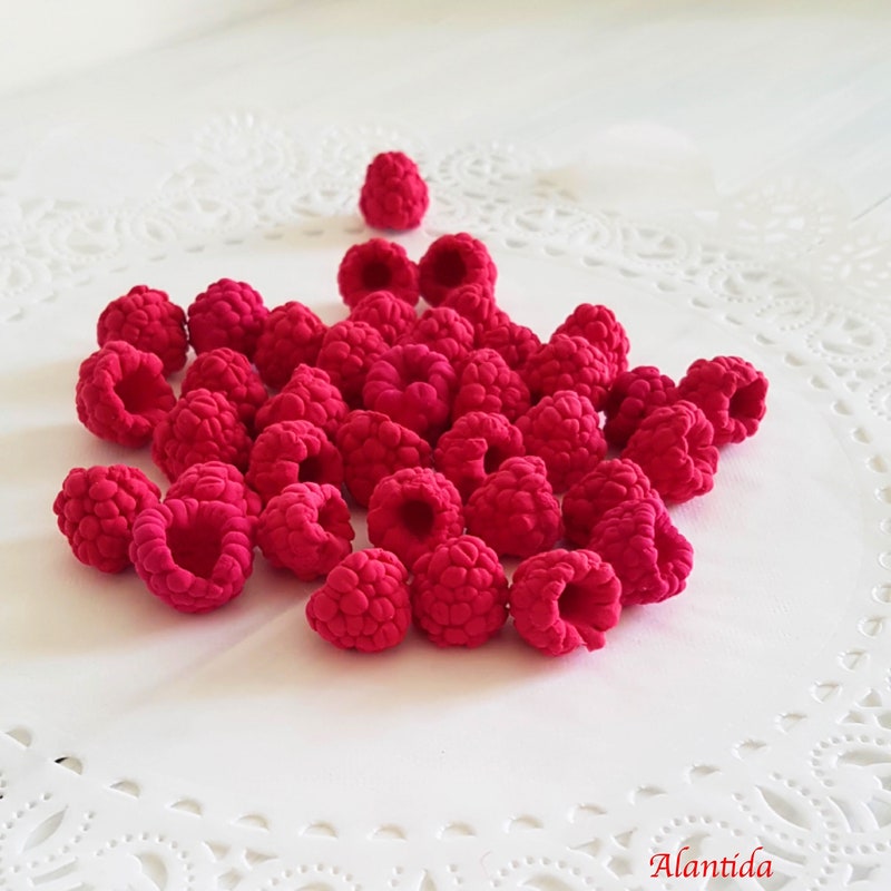 Raspberry Decor - Etsy