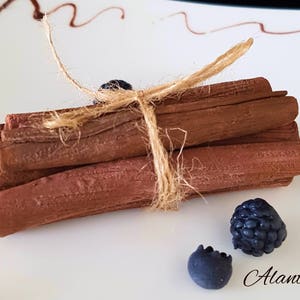 Realistic Cinnamon Sticks Fake Cinnamon Faux Cinnamon Sticks for ...