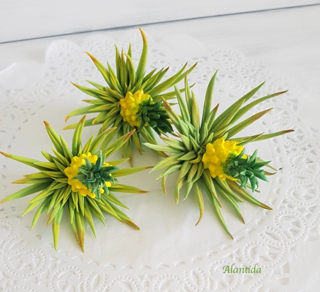 Pineapple Cake Topper Birthday Cake Topper Cake Decoration Tropical ...