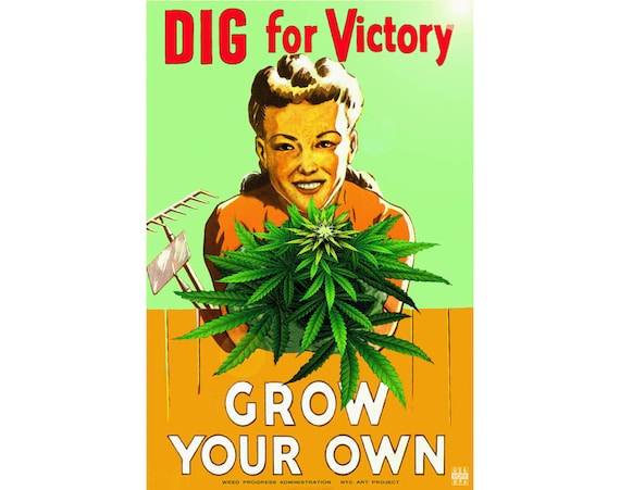 Different Types Of Weed Poster