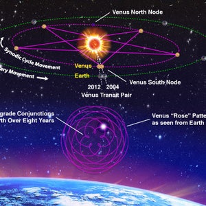 Rose of Venus Stamp. Venus Rose Stamp. Sacred Geometry Stamp. Venus ...