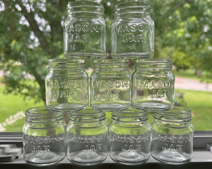 Nine Absolutely Adorable Mason Jar Shot Glass Size Jars - Etsy
