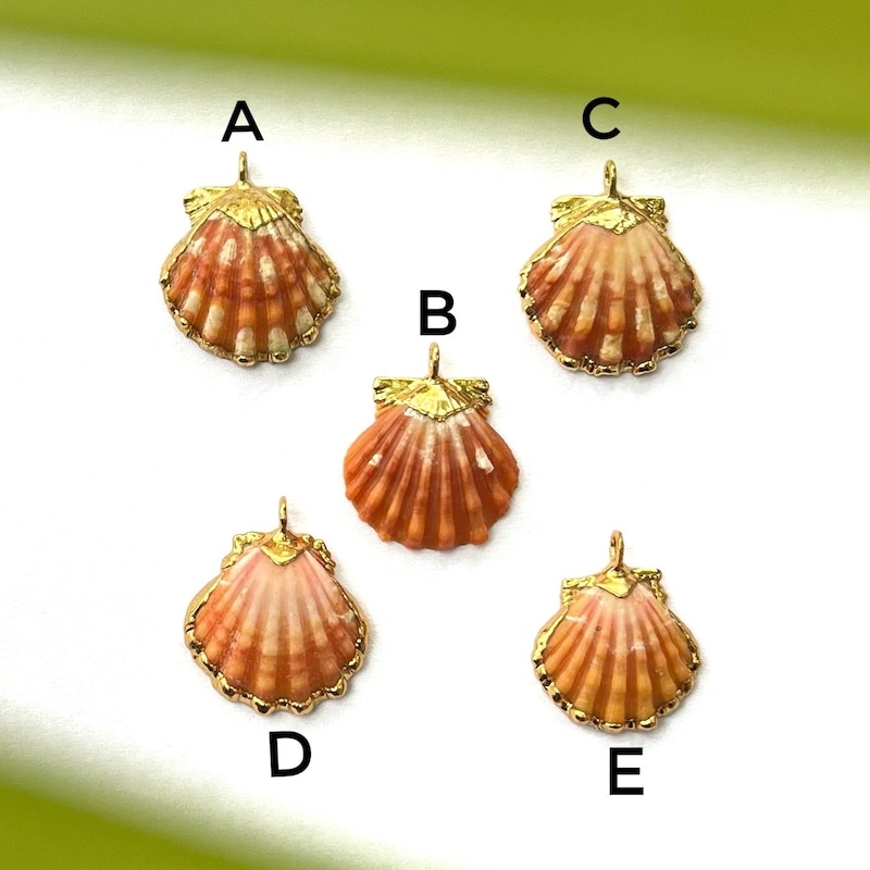 Sunrise Shell Necklace - Etsy