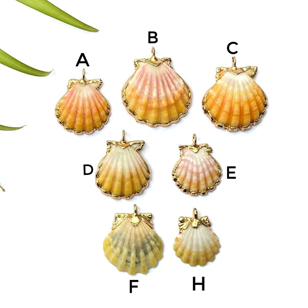 18k Gold Dipped Hawaii Sunrise Shell Necklace - Etsy