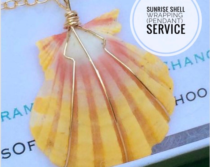 Rare Hawaiian Sunrise Shell Necklace Waterproof 14k Gold Filled 18 ...