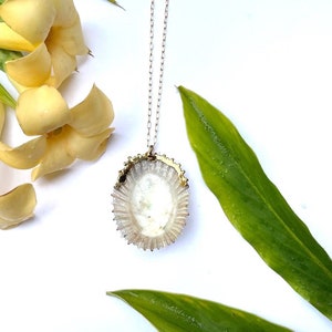 Hawaii 'opihi Shell White Makaiuli Gold Dipped Pendant Necklace - Etsy