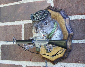 Squirrel With Machine Gun