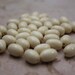 12mm Vintage Ivory Look Lucite Oval Bead (24 Pieces) - Etsy