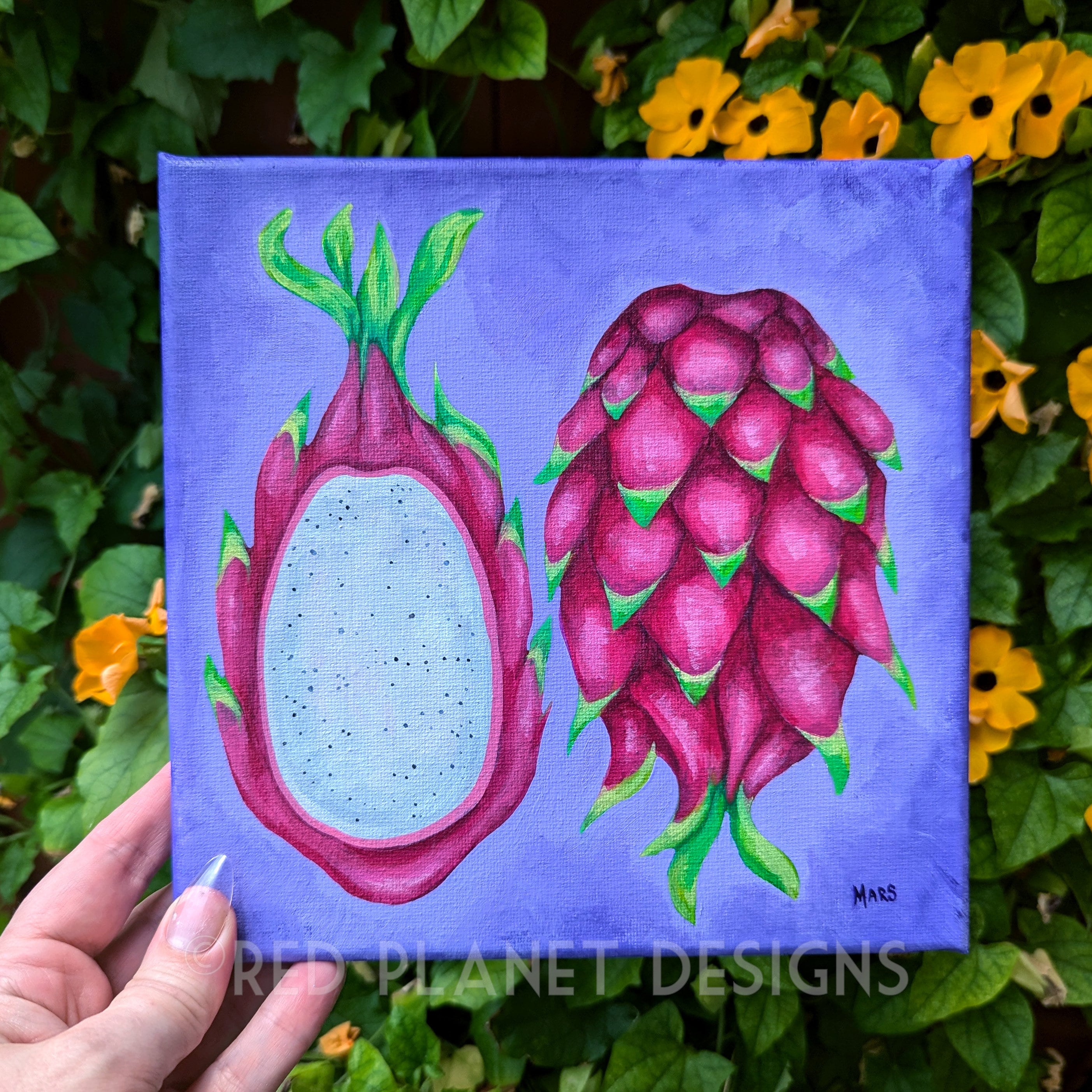 Dragon Fruit Original Painting - Food Art - Cute Food - Fruit - Summer ...