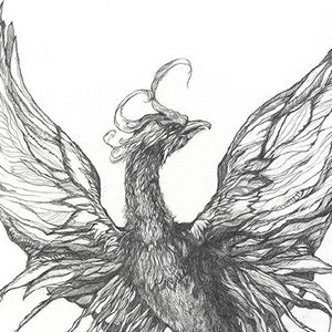 Phoenix Rising - Etsy