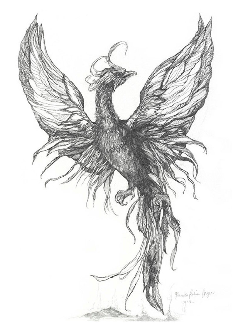 Phoenix Rising - Etsy