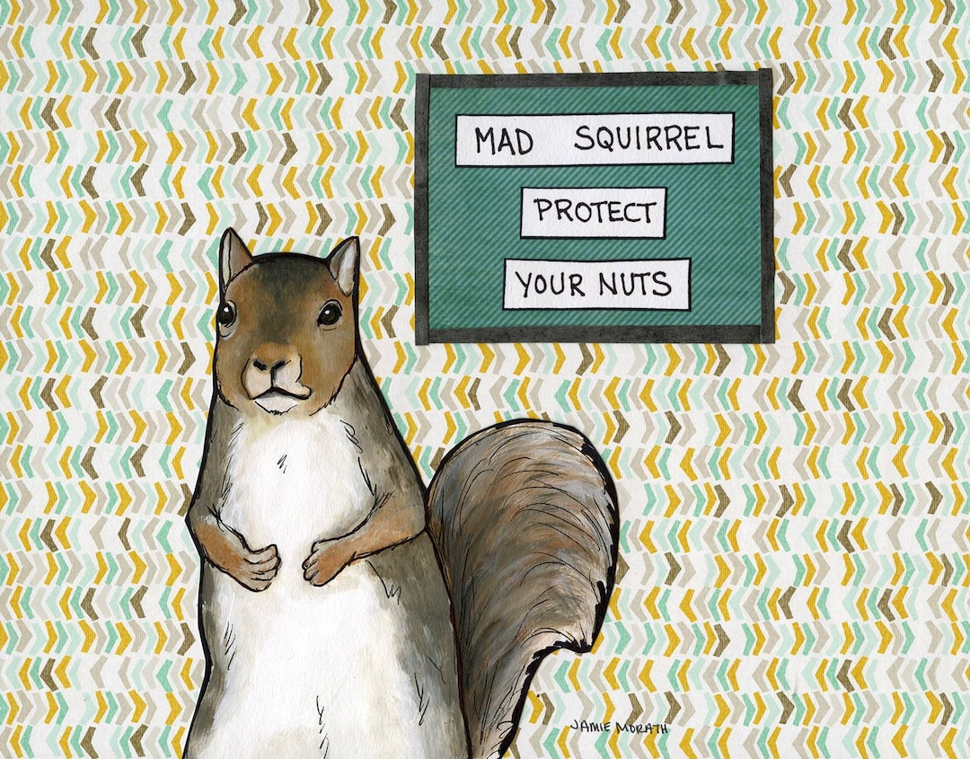 Mad Squirrel, Wall Art Print - Etsy
