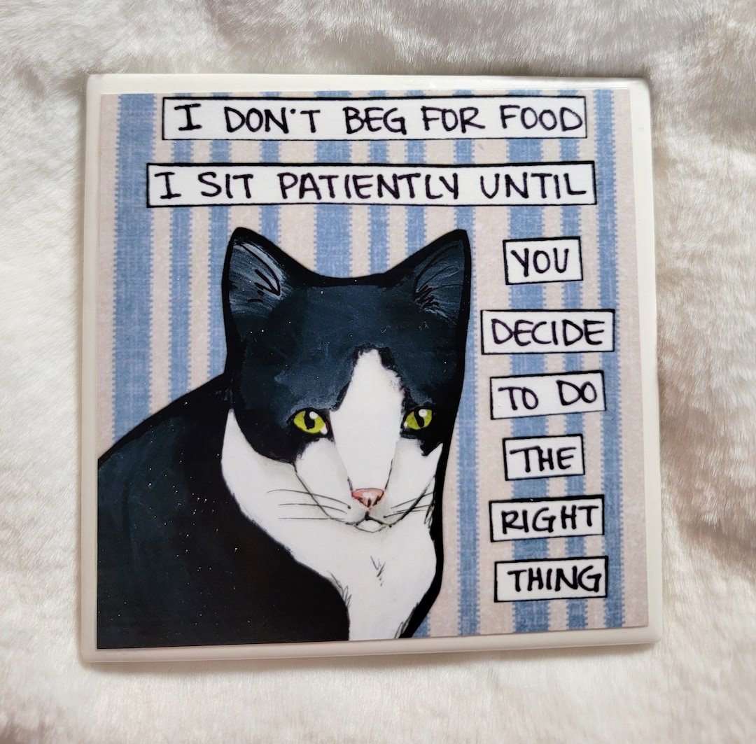 I Don't Beg Cat Decorative Coaster Tile - Etsy