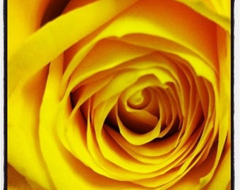 Yellow Rose Card | Etsy