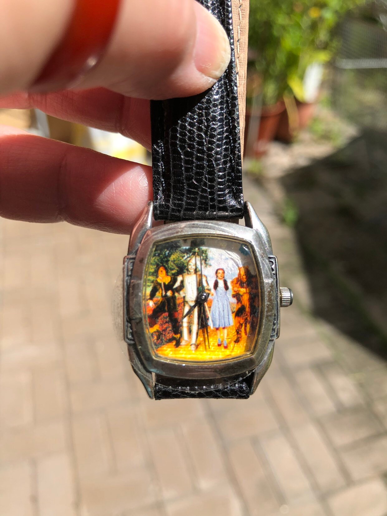 The Wizard of Oz Watch Limited Edition Warner Brothers Store Watch ...
