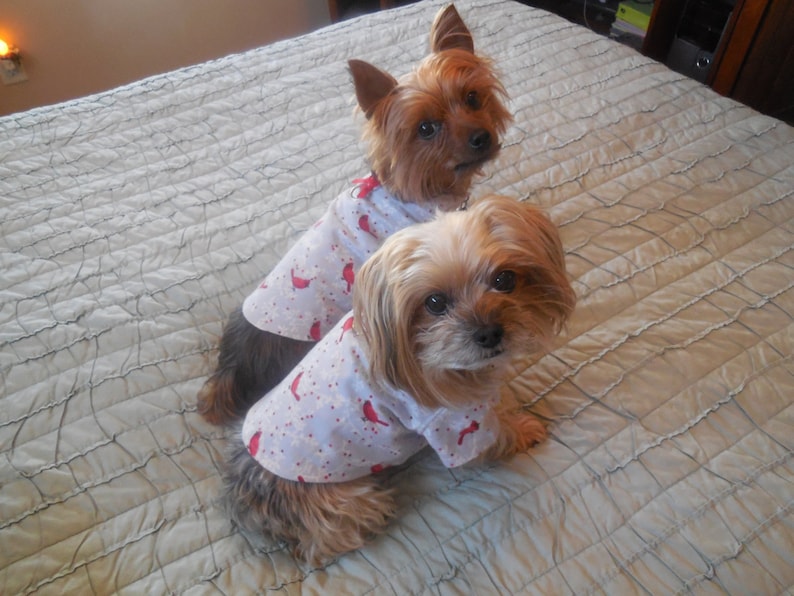 FLANNEL CARDINAL DOG Shirt | Etsy