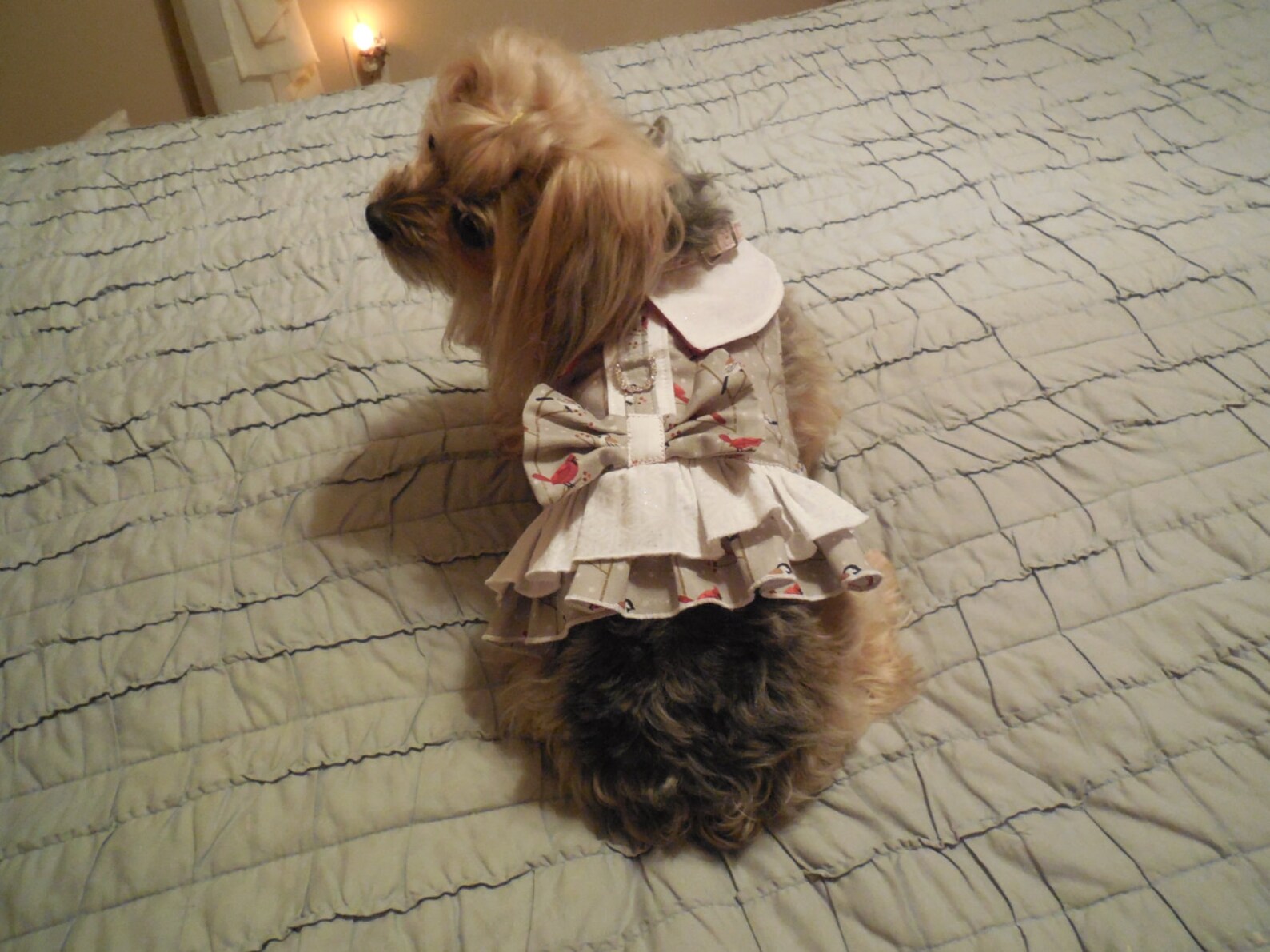 Harness Vest With Ruffle Dog Harness Dress Dog Vest Pet - Etsy