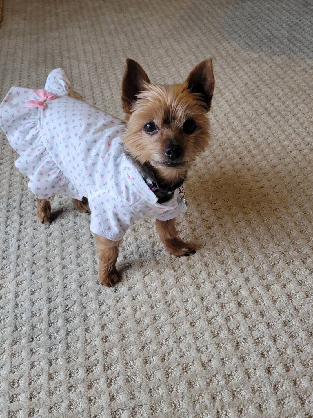 PRETTY Pink Mini Flower Girly Dog Nightgown - Etsy
