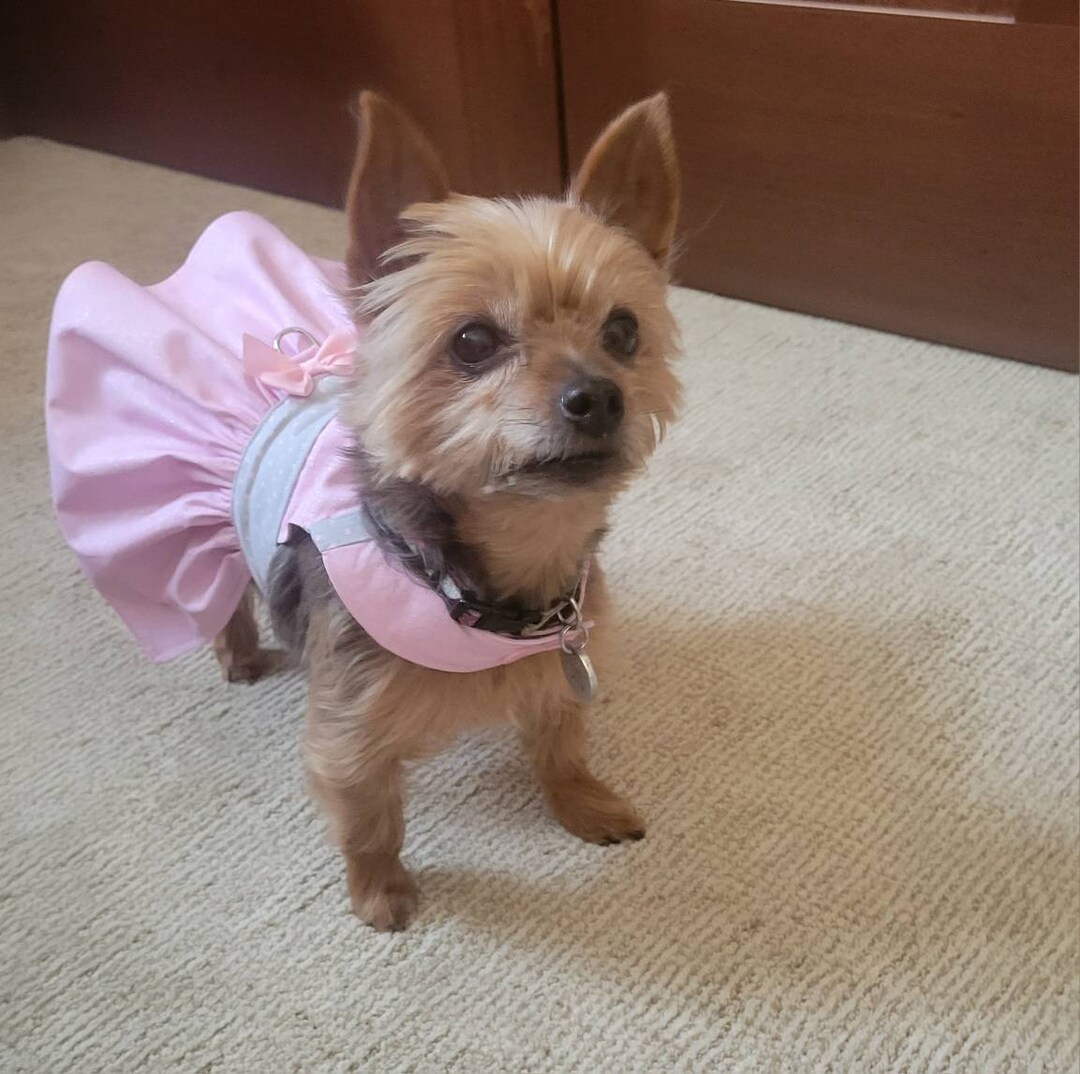 Pink Sparkle Pet Jumper With Ruffle; Dog Harness Dress; Dog Vest; Pet ...
