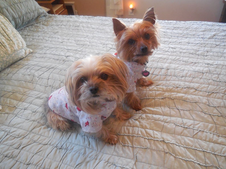 FLANNEL CARDINAL DOG Shirt | Etsy